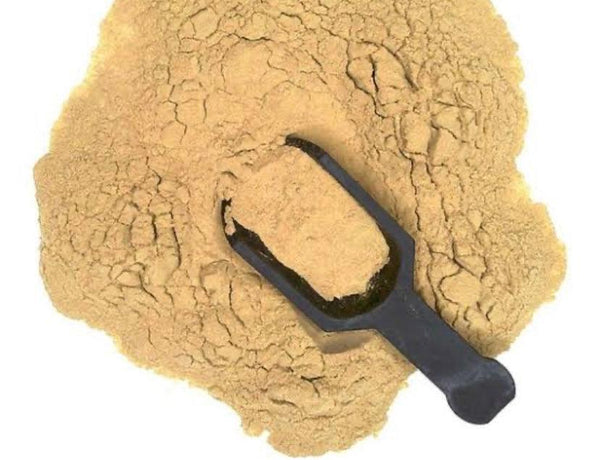 Hoodia Powder – Bridget Organic Herbs